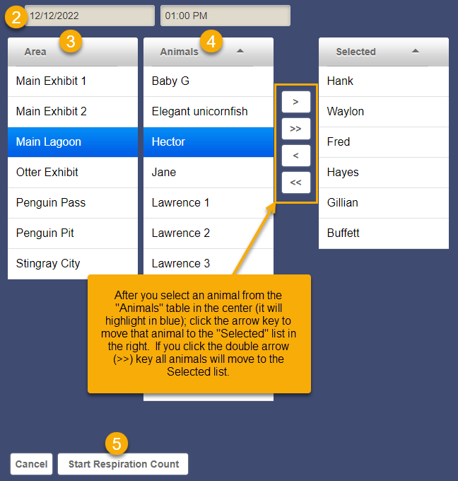 Group Respirations – OERCA | Support