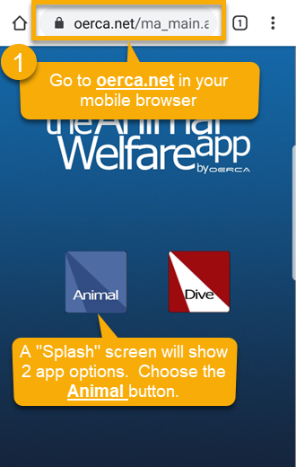 Mobile Application - Entering Session Records – OERCA | Support