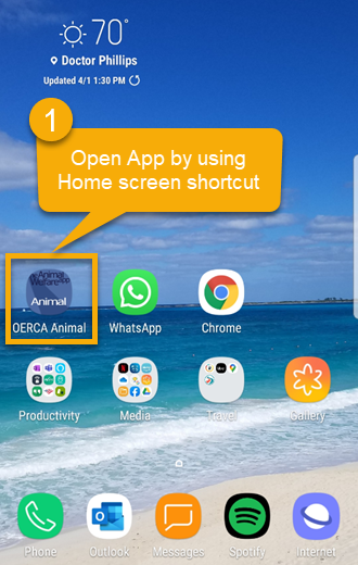 Mobile Application - Entering Session Records – OERCA | Support
