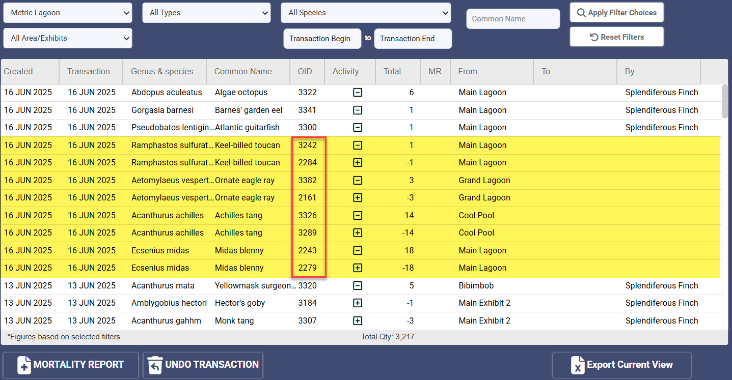 System Audit Summary – OERCA | Support